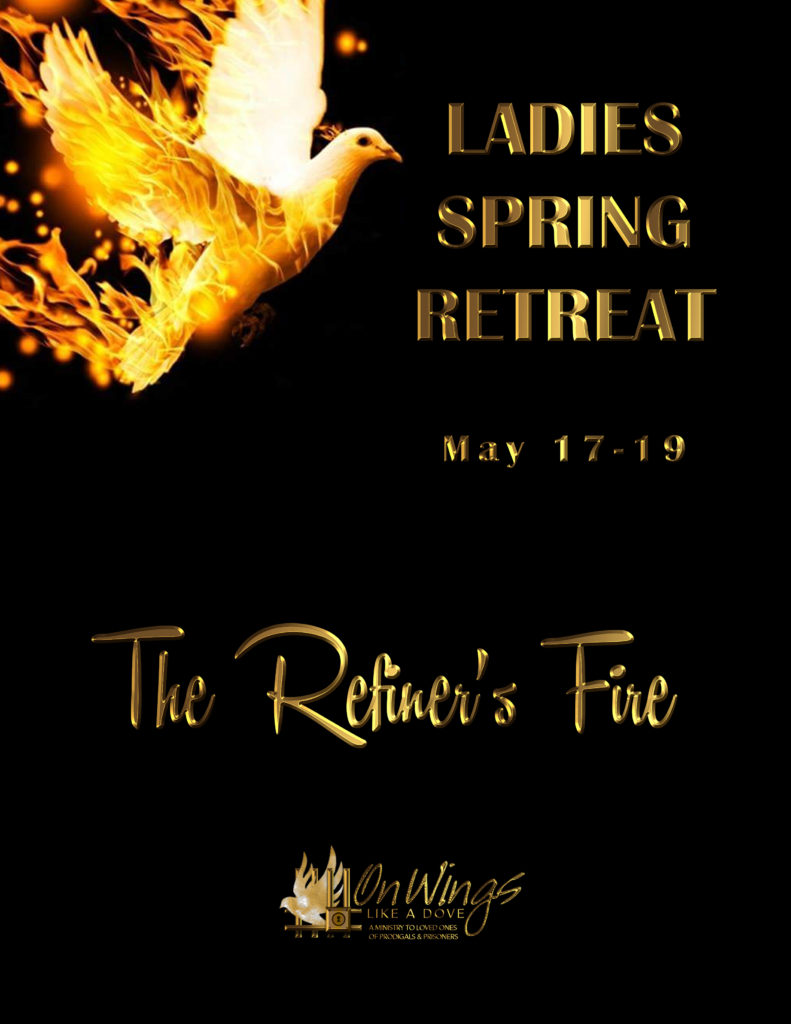 Ladies Spring Retreat 2019 Recap - The Refiner's Fire